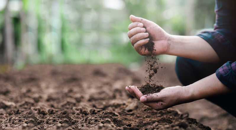 Soil 101: A Soil Type Guide | Rocky Mountain BioAg