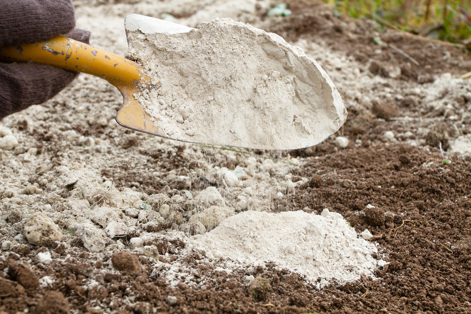 Dolomite Lime for Your Lawn | Rocky Mountain BioAg