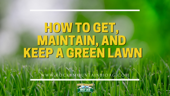 How To Get, Maintain, And Keep A Green Lawn – Rocky Mountain BioAg