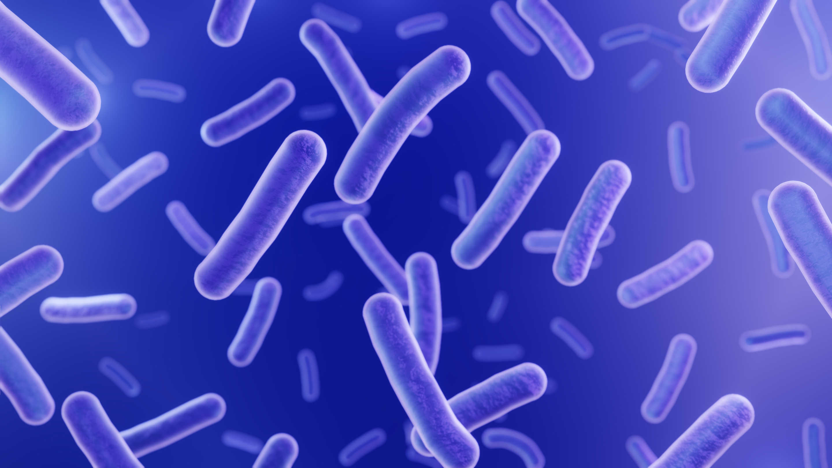 Probiotics and Microbial Inoculants | Rocky Mountain BioAg