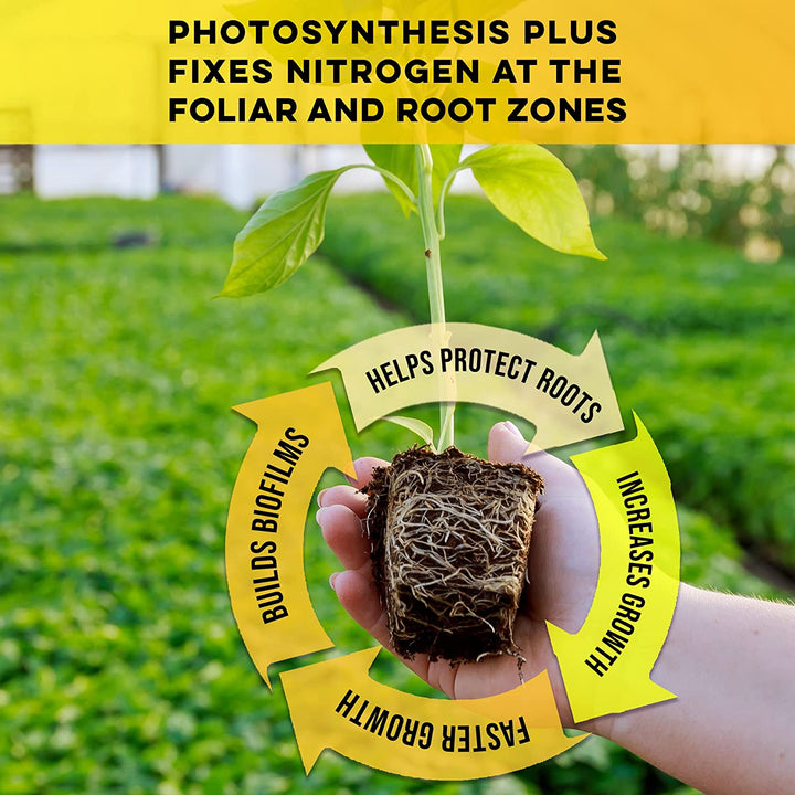 Photosynthesis Plus | Microbe Life | Rocky Mountain BioAg